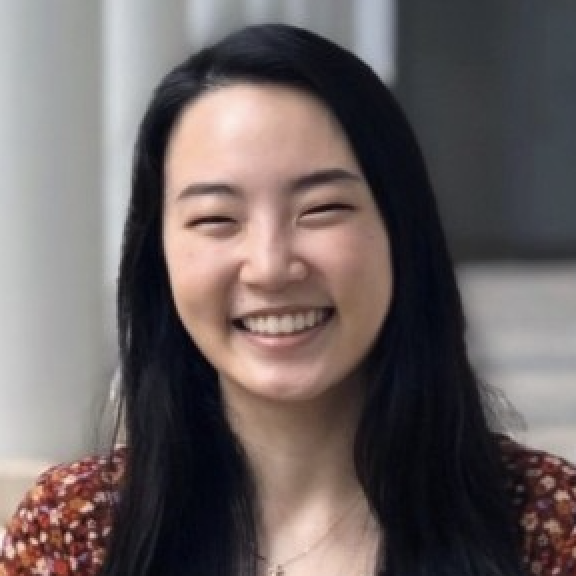 AI Governance and Risk: Application in An Open-Source Context